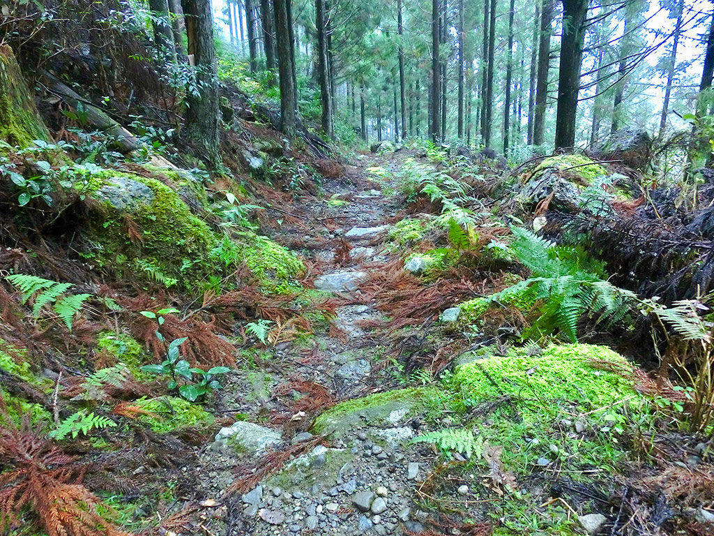 Unbeaten Japan Tours - Experience Japan Nature Tours